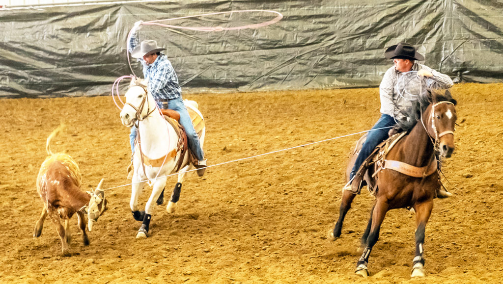 Latest News (Press Releases, Events, Etc.) – The Mormon Pioneer ...